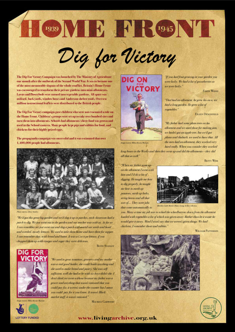 Dig for Victory - Home Front | World War 2, 1940s | Living Archive